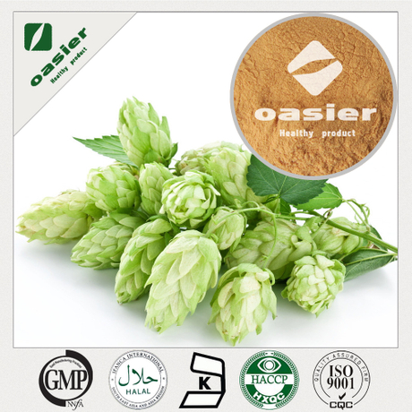 Hops Extract - Buy Factory Supply Natural Hops Extract, Humulus Lupulus ...
